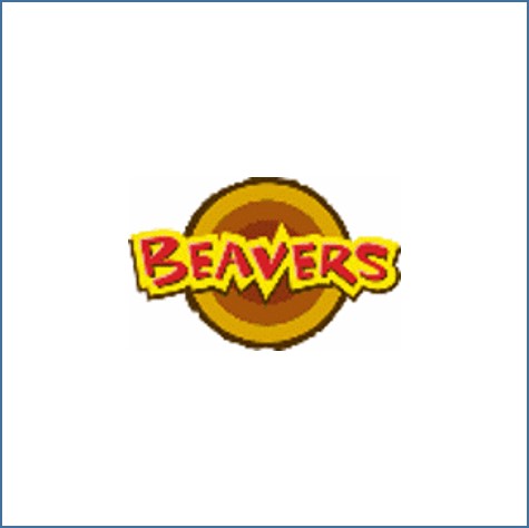 Beavers – 1st Welwyn Scouts